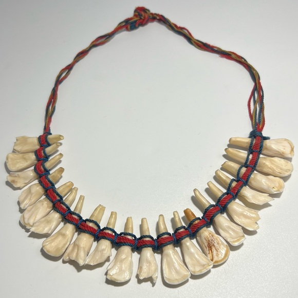 Jewelry | Antique Buffalo Teeth Necklace Native American 2th Century ...